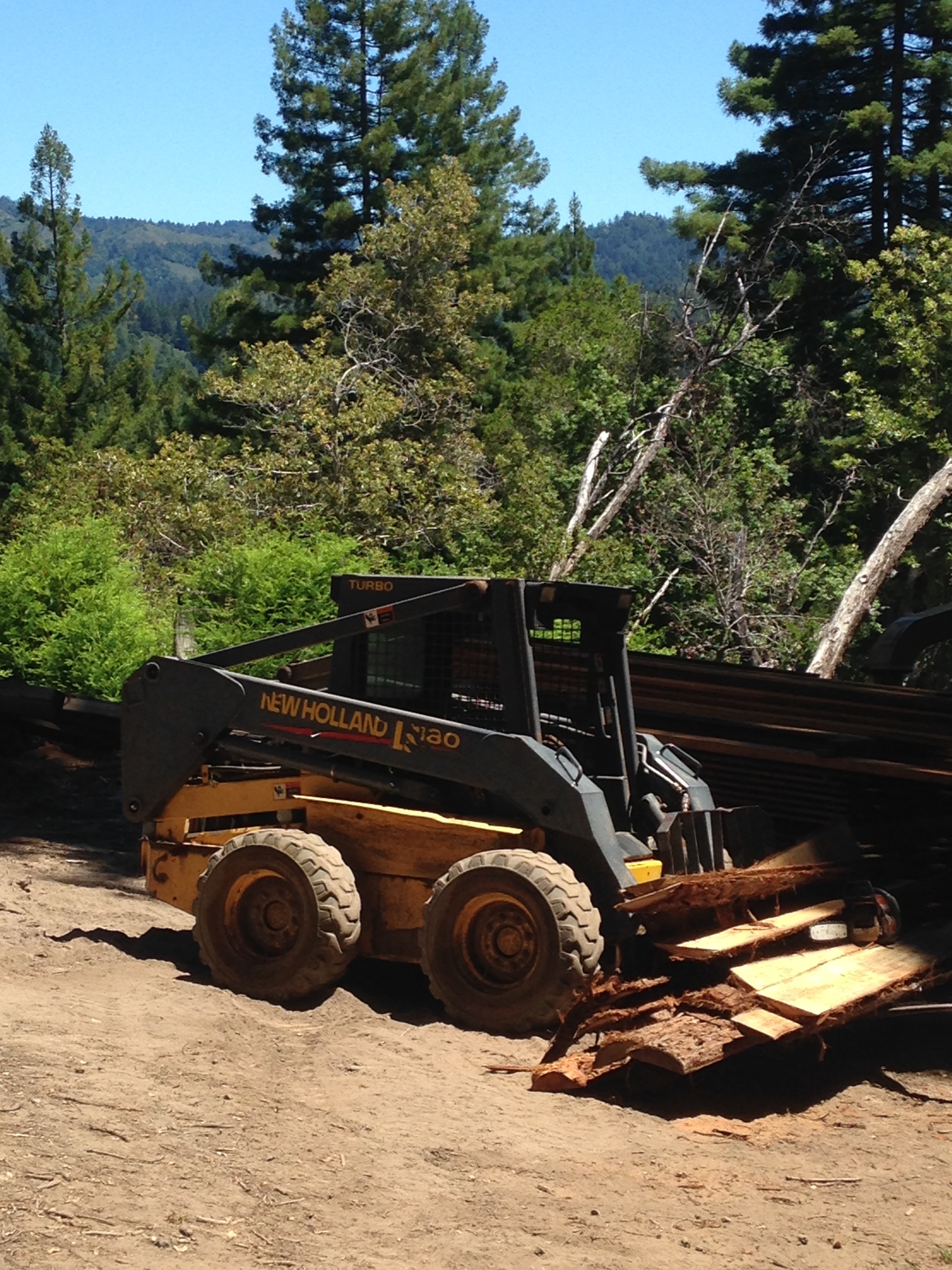 Redwood Grove Bark Fence | lovecreekfarm