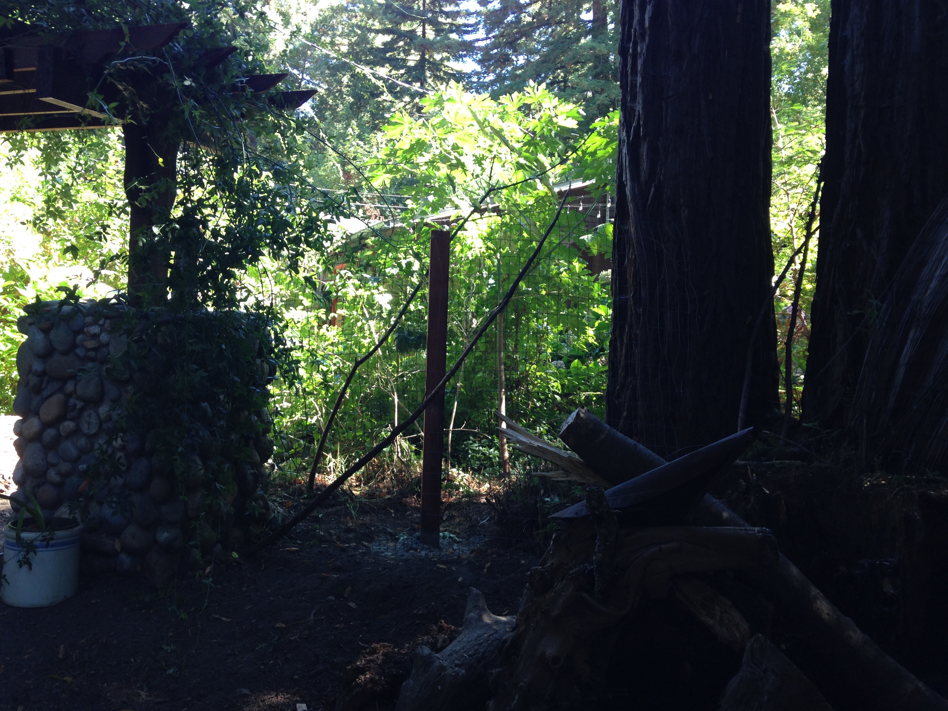 Front Entrance Redwood Bark Fence | lovecreekfarm