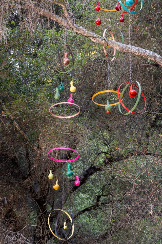 Hanging Gourd Rings | lovecreekfarm